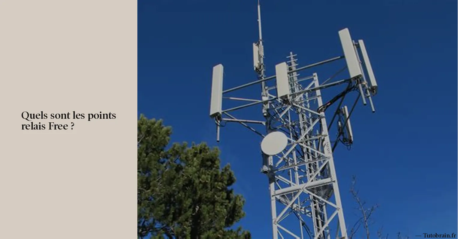 Les points relais Free : tout ce que vous devez savoir - TutoBrain ...