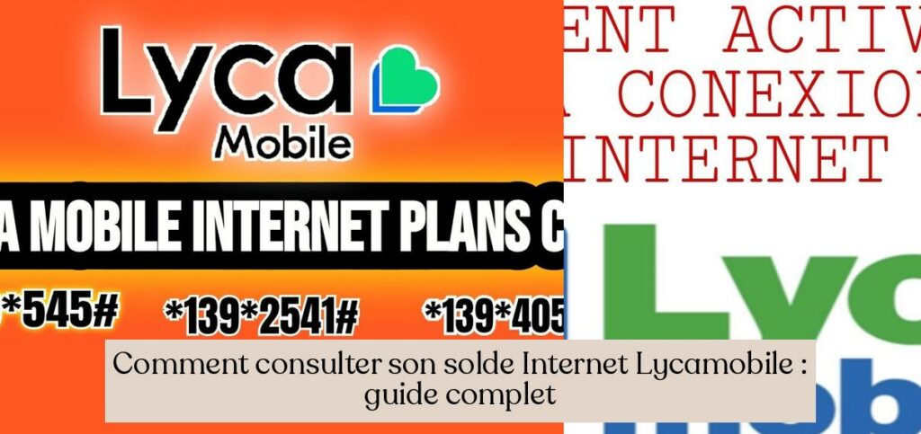 Comment consulter son solde Internet Lycamobile : guide complet ...