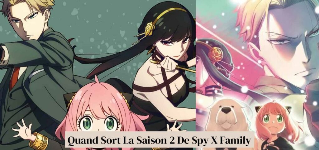 Quand Sort La Saison 2 De Spy X Family - TutoBrain : Votre Guide ...